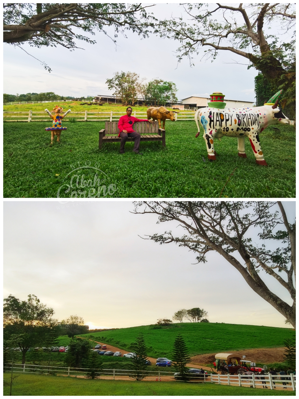 Buka puasa dalam ladang lembu Farm Fresh UPM. - Blog Abah Careno